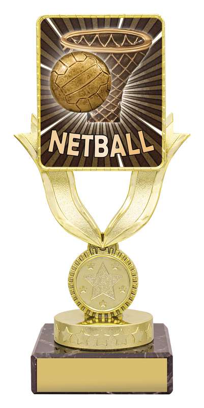 Lynx Bold – Netball – Online Trophy Shop